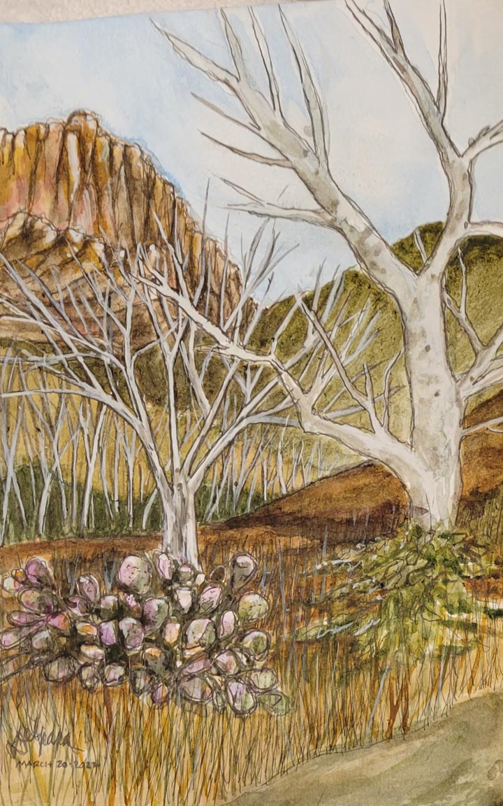 Arizona Woods with Chiricahua Mountains – Tin Shop Gallery